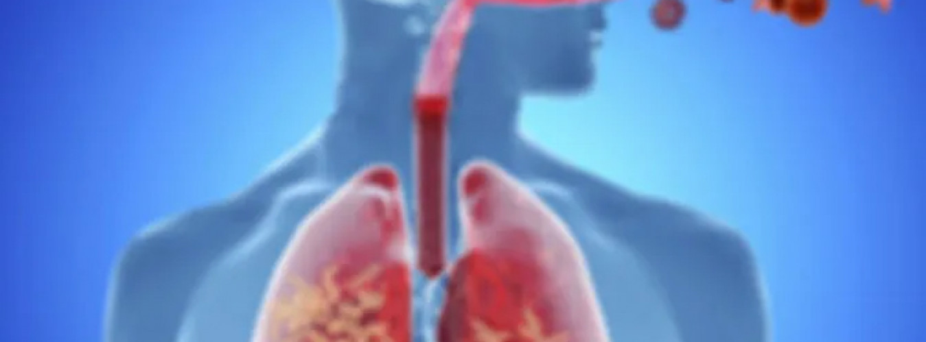 Allergic Rhinitis: Where Could We Go Wrong? | CME Learning Center | CME ...