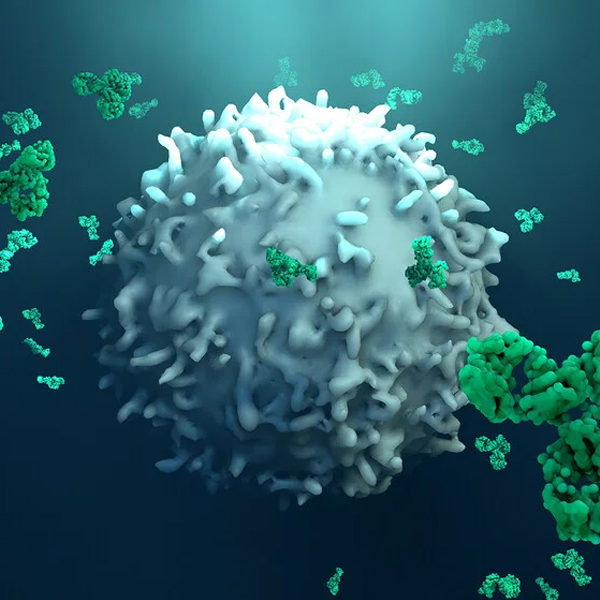 Comparative Analysis of Infants' Response to Newly Included Indian ...