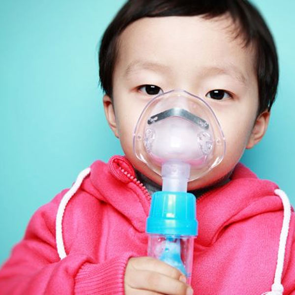 Triggers for Persistent Wheeze in Children: Allergens and Multiple ...