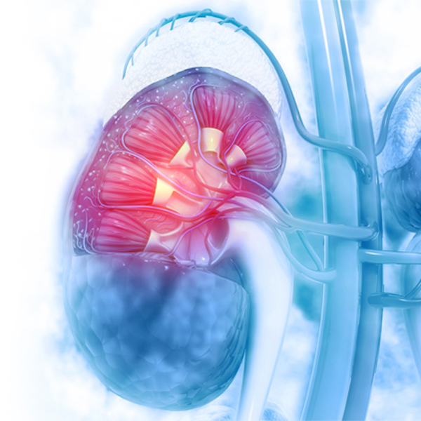 Accidental Adrenaline Injection in a Non-anaphylactic Child Causes ...