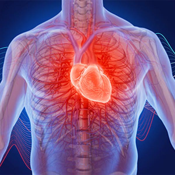 What Causes Headache and Heart Palpitation?