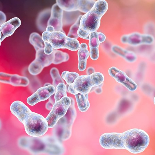 Clostridioides difficile infection in hospitalized children and adolescents