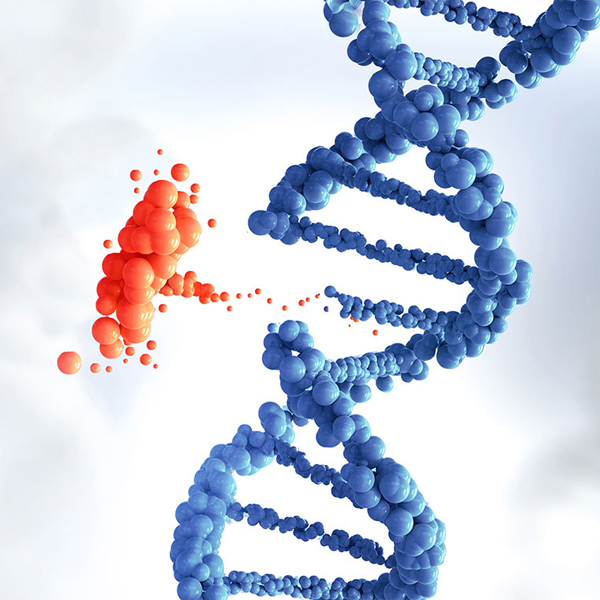 Congenital Disorders & Their Prevention