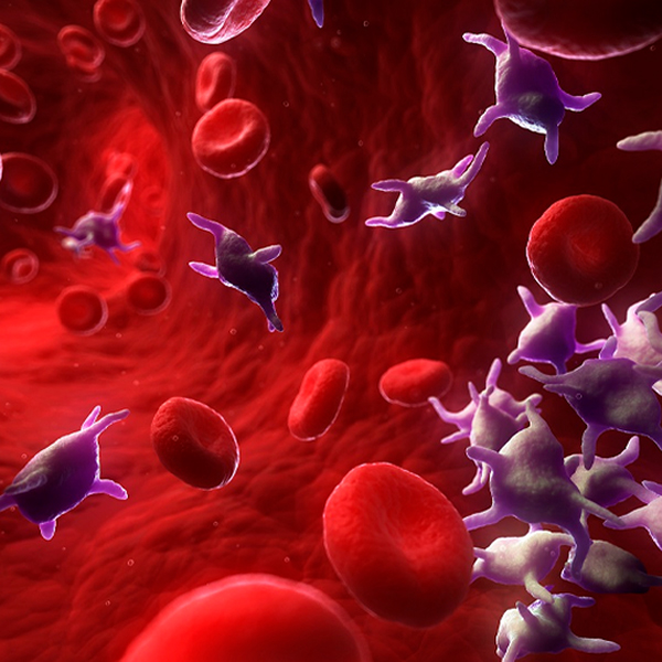 How long to give Dual Antiplatelet Therapy (DAT) in Acute MI? | FAQ ...