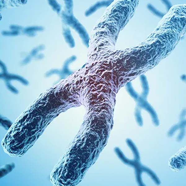 Extended first-trimester screening (EFTS) for detecting aneuploidy and ...