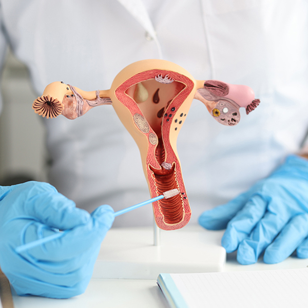 Gynecological Minimally Invasive Approach And Medical Therapy