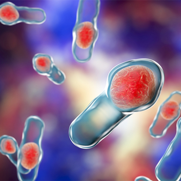 Clostridium difficile Infection and its Treatment