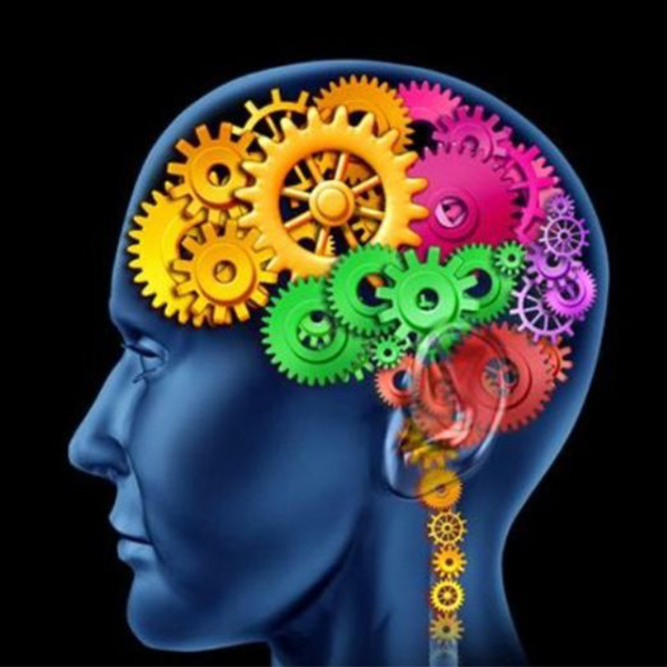 How to test cognitive function