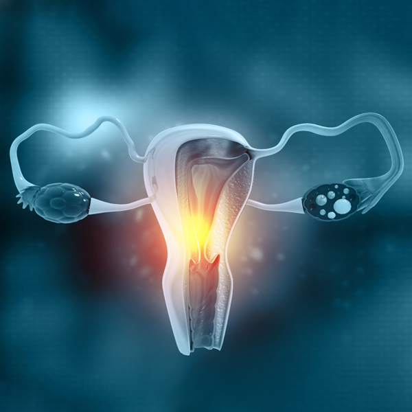 Incorporating Anti Mullerian Hormone as a Diagnostic Marker can Enhance ...