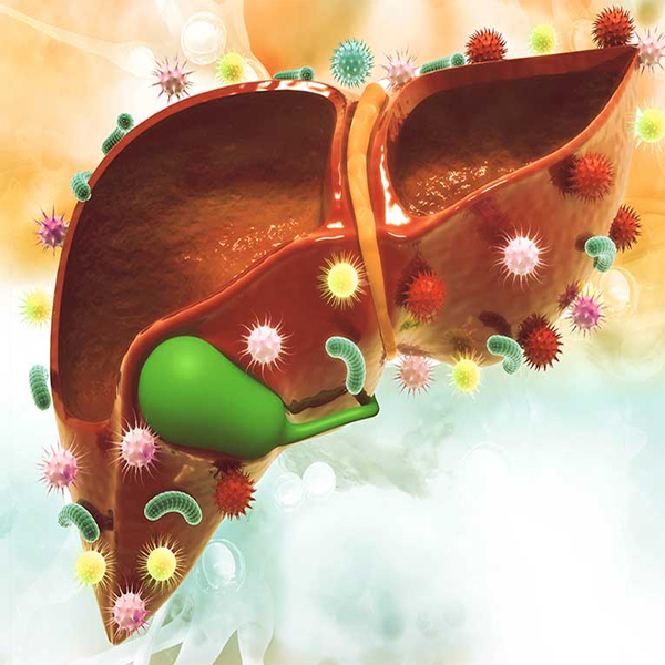 Liver Care In Geriatric Population