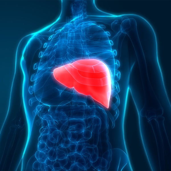 Liver diseases in the Geriatric Population Prevalence, Pathophysiology ...