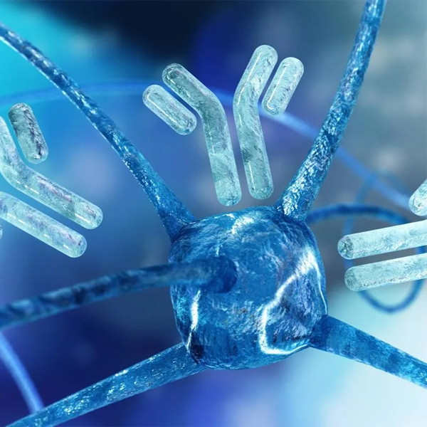 Lymphocyte subsets and immunoglobulin profile of preterm neonates