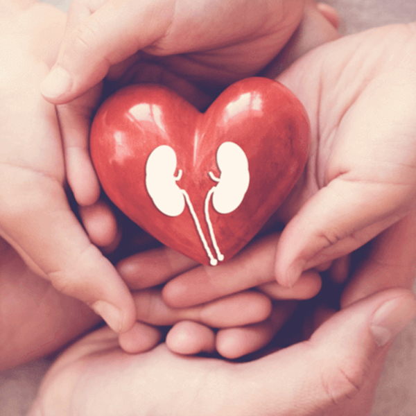 Pediatric Nephrotic Syndrome