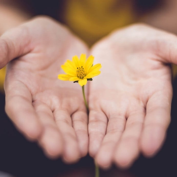 Never Go Empty Hand | Dr. K.K Aggarwal