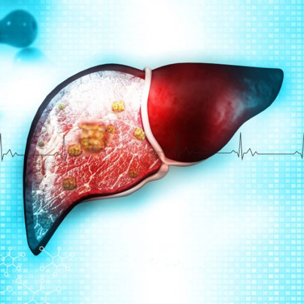 Liver Diseases in Special Populations (Children, Elderly, and Pregnancy)