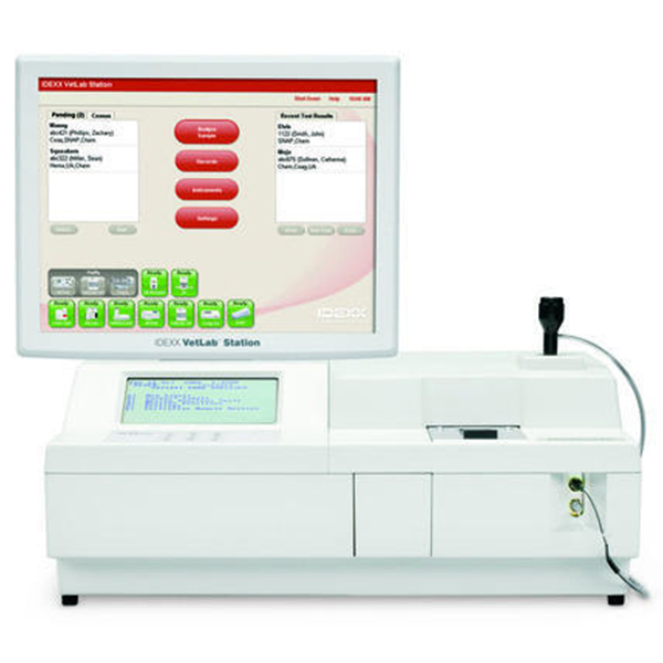 What is Analyzer Test? | Dr. Narender Saini