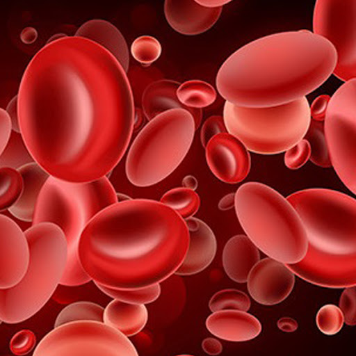 ESR vs CRP: Understanding the Difference in Inflammation Markers