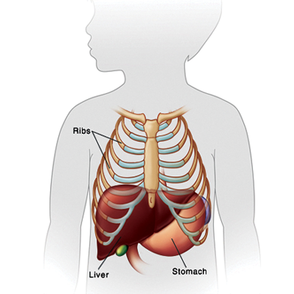 Liver Diseases with Chronicity in Children
