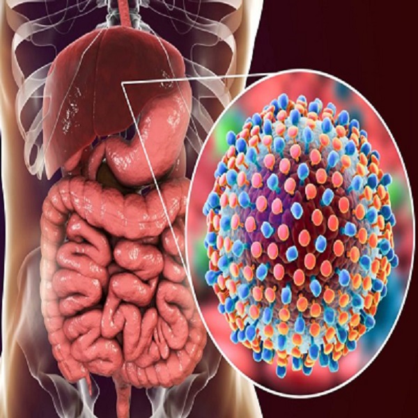 Infectious Disease of the Liver in Geriatric Patients