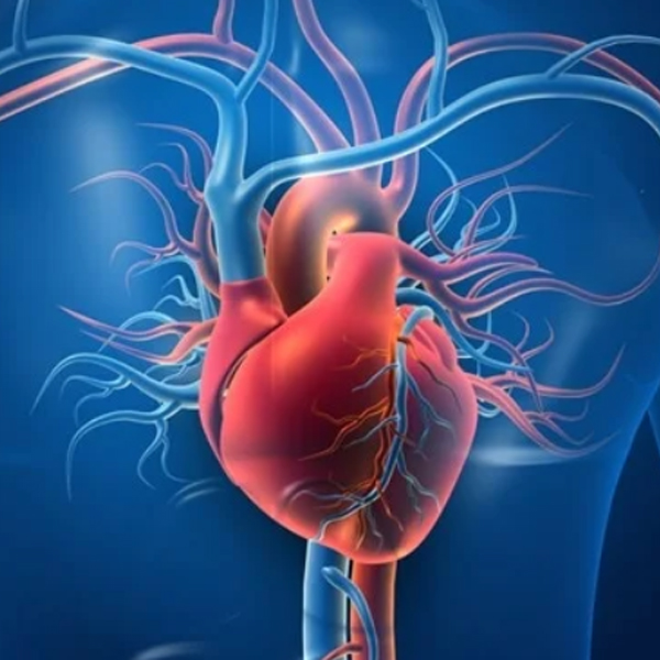 CSI Plans To Introduce Digital Assistance For Heart Patients