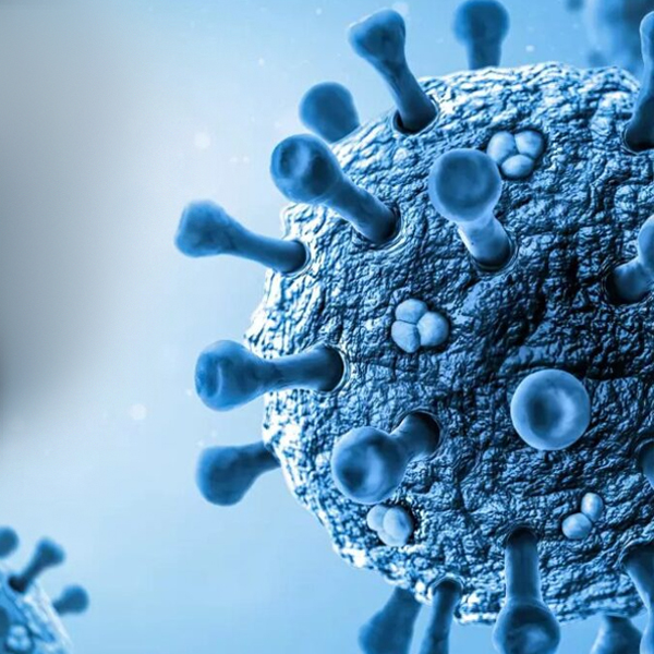 मध्य प्रदेश में पहला H2N2 संक्रमण सामने आया, मरीज होम आइसोलेशन में