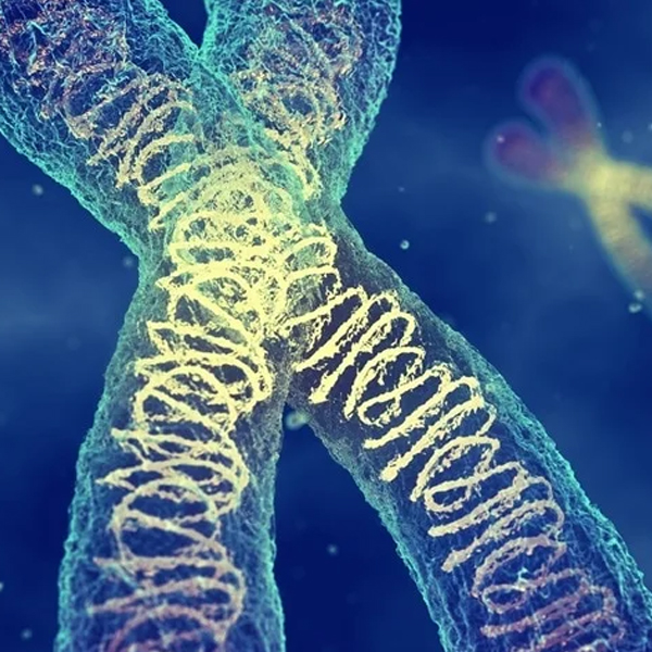 Impaired DNA Repair and the Associated Complications