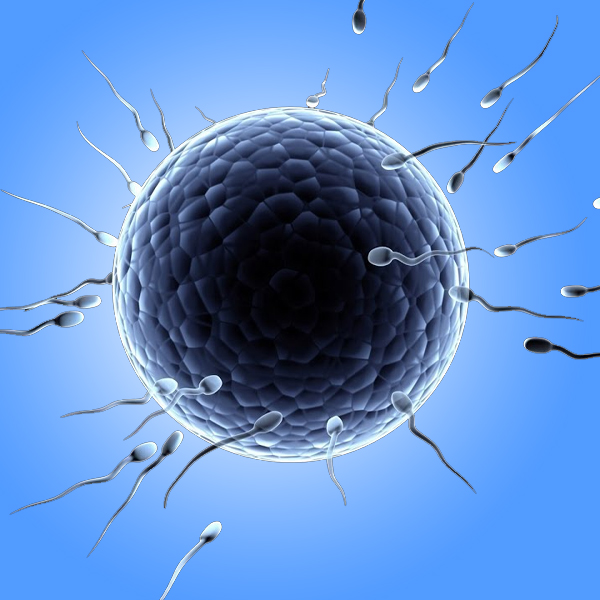 How long we can store the ova? | Dr. Kaberi Banerjee