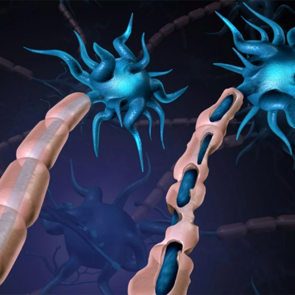 Peripheral Nerve Injury: All You Must Know | Medtalks