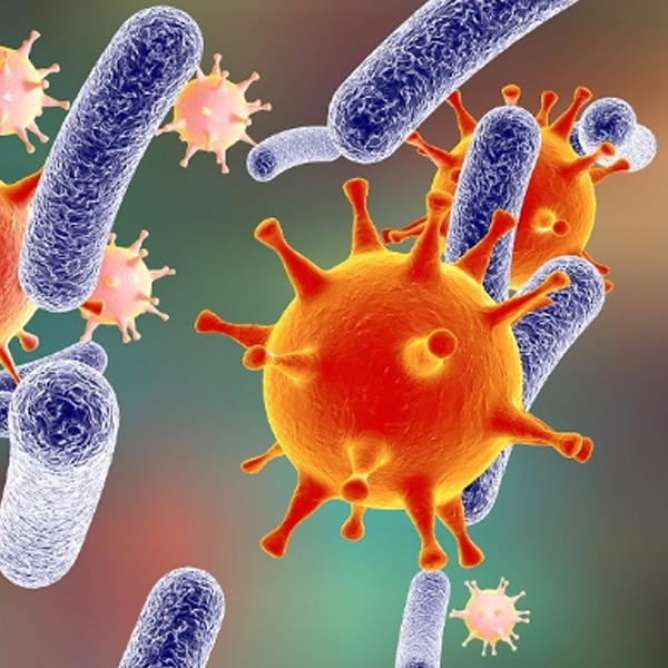 What is the difference between sepsis & septic shock?