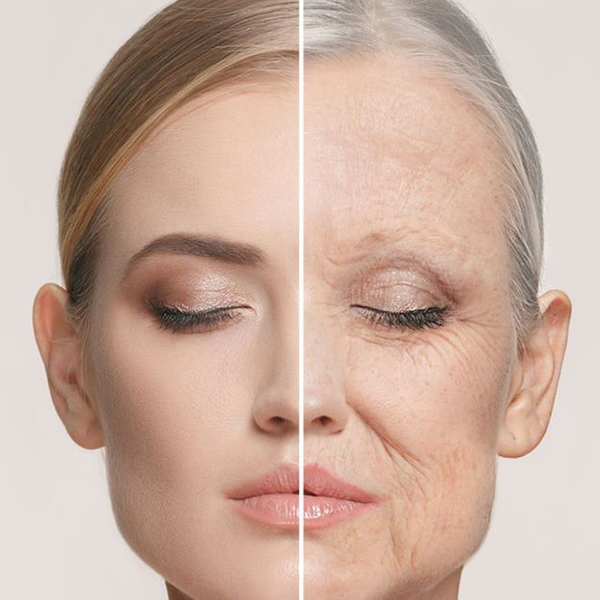 Taurine Deficiency May Drive Your Age