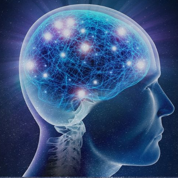 World Brain Day 2023